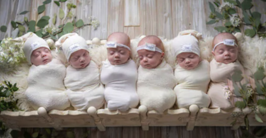 Meet The Miracle Sextuplets Born 10 Weeks Forming The Most Beautiful ...