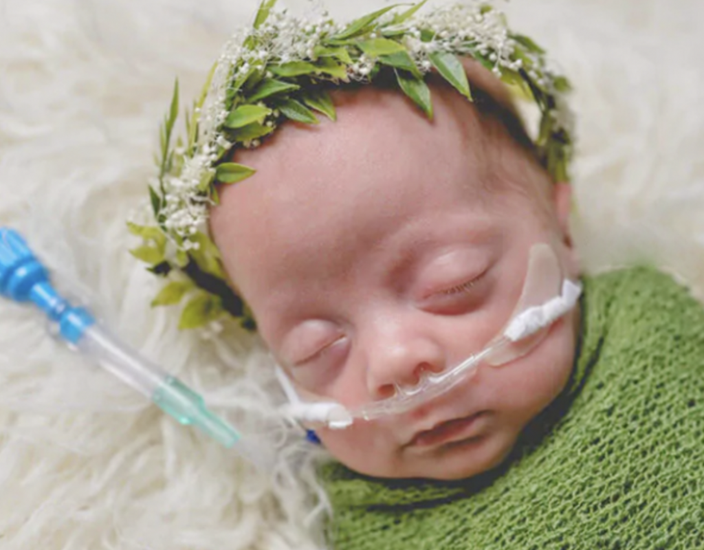 Meet The Miracle Sextuplets Born 10 Weeks Forming The Most Beautiful ...