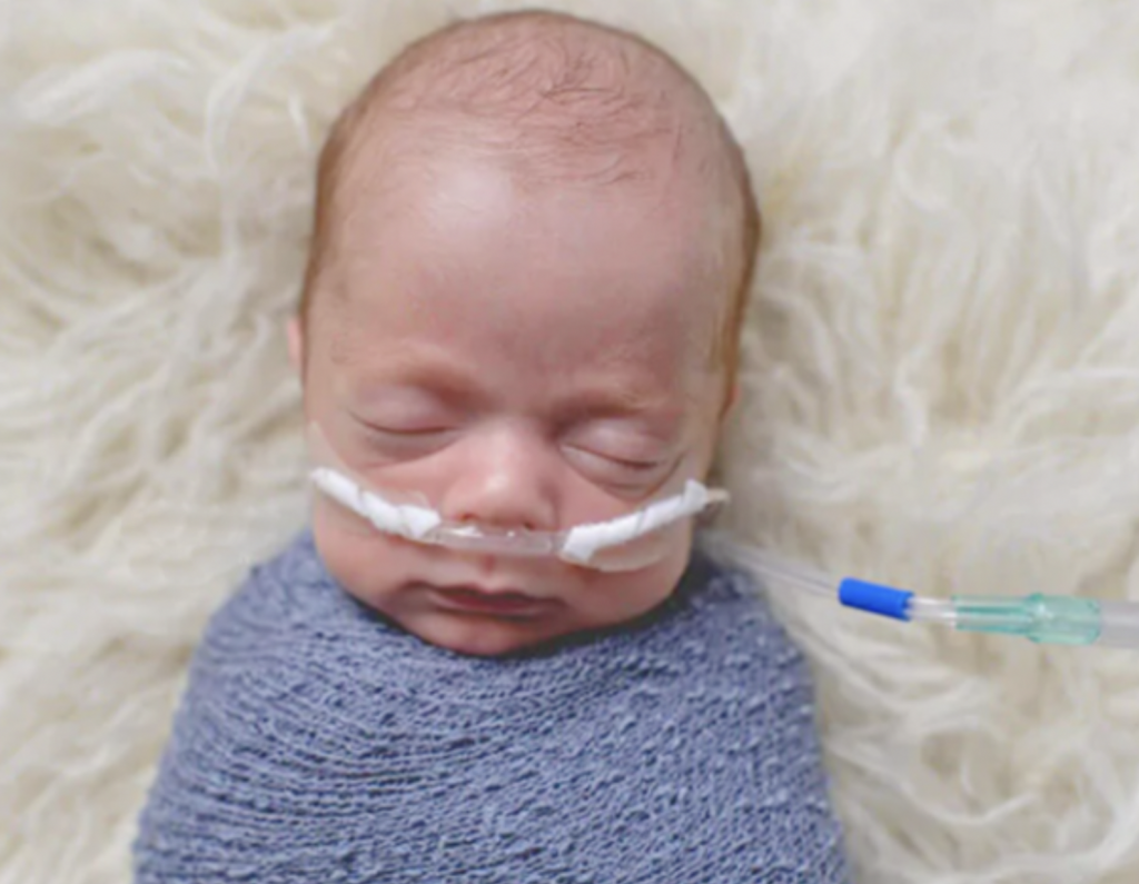 Meet The Miracle Sextuplets Born 10 Weeks Forming The Most Beautiful ...