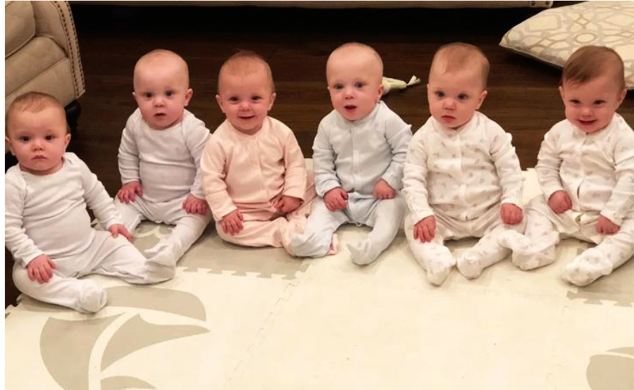 A new record was settled: Sextuplets were born in 9 minutes | My Cute ...