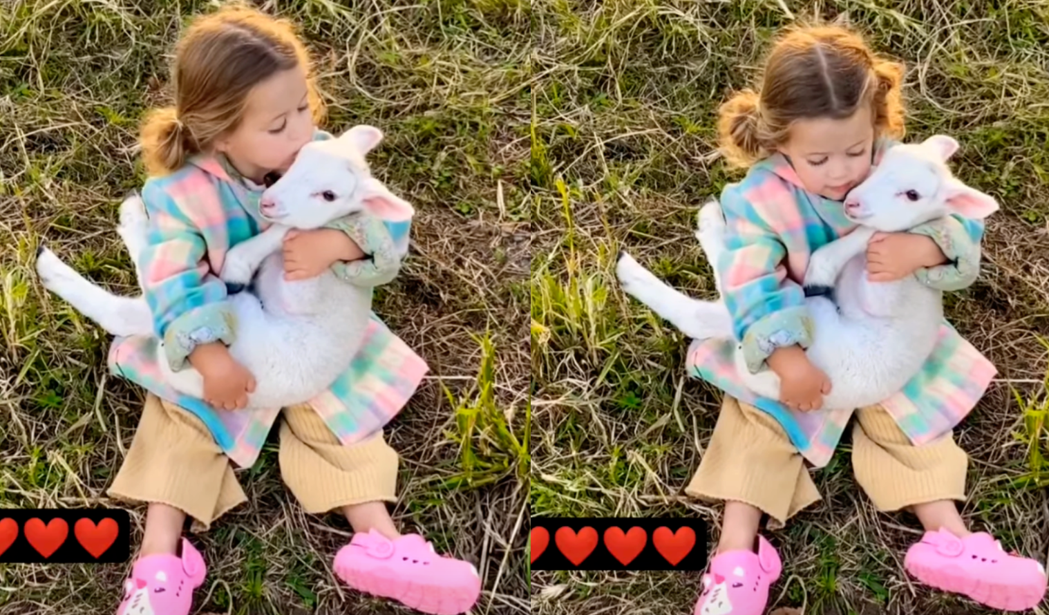 A Heartwarming Friendship: Cute Babies Embrace Their Lamb Friend | My ...
