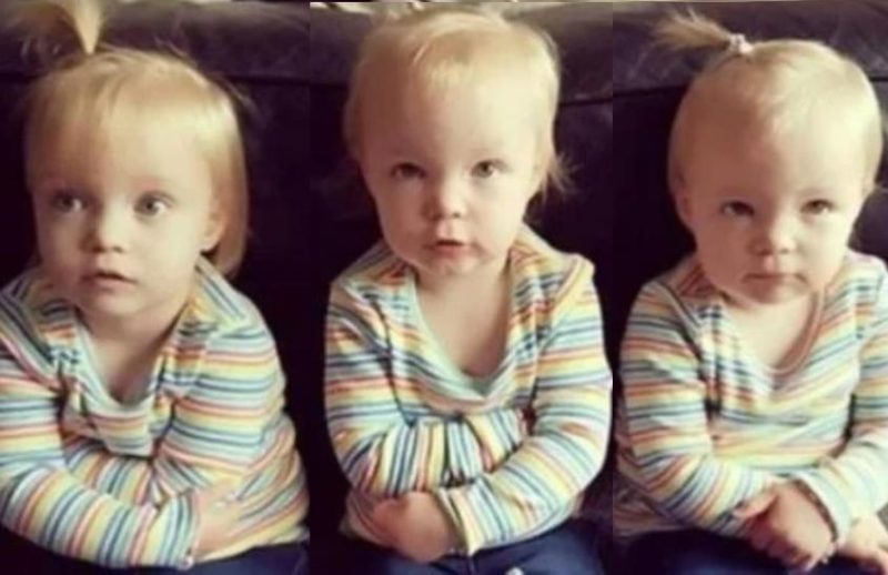 While mom thought that the triplets were sleeping, they were fulfilling ...