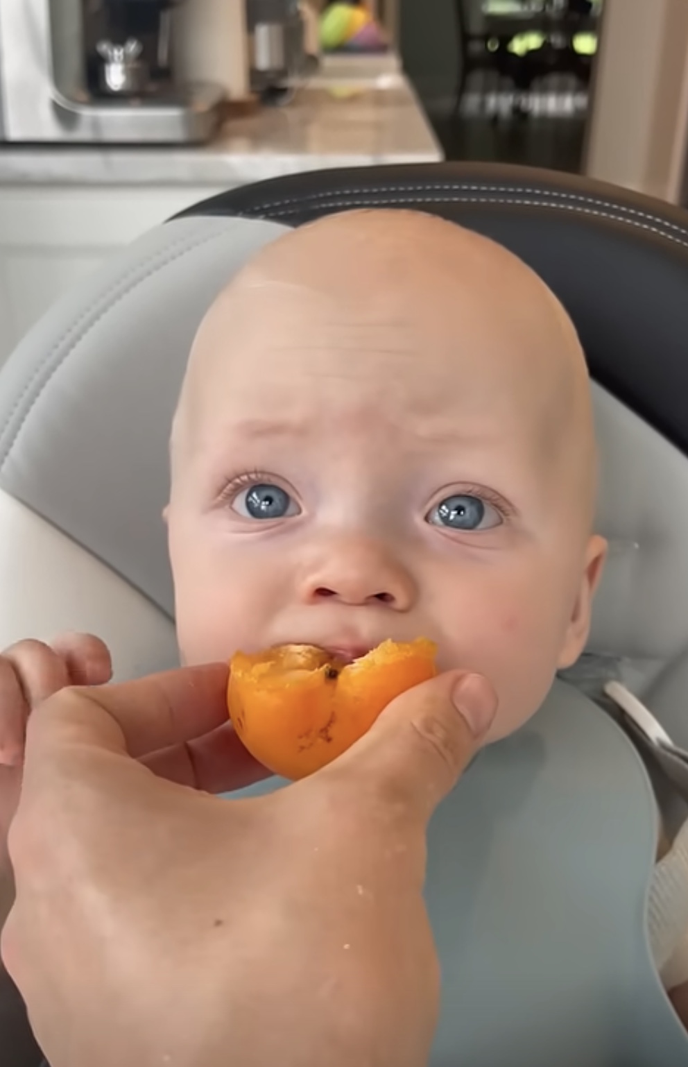 The baby tries sweet apricot for the first time. Look at his facial ...
