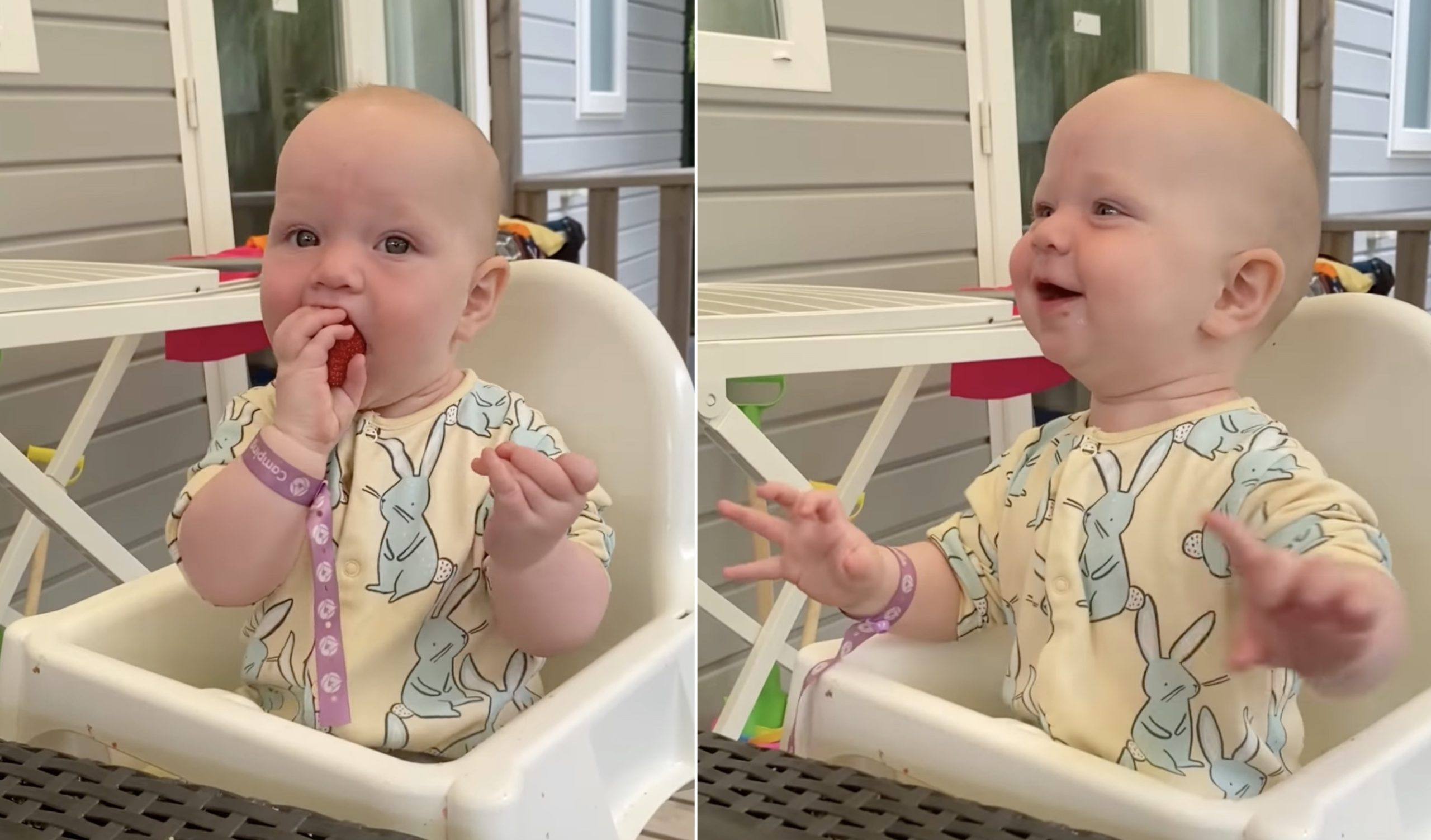 Kids love strawberries! Look how the baby eat strawberries | My Cute Babies