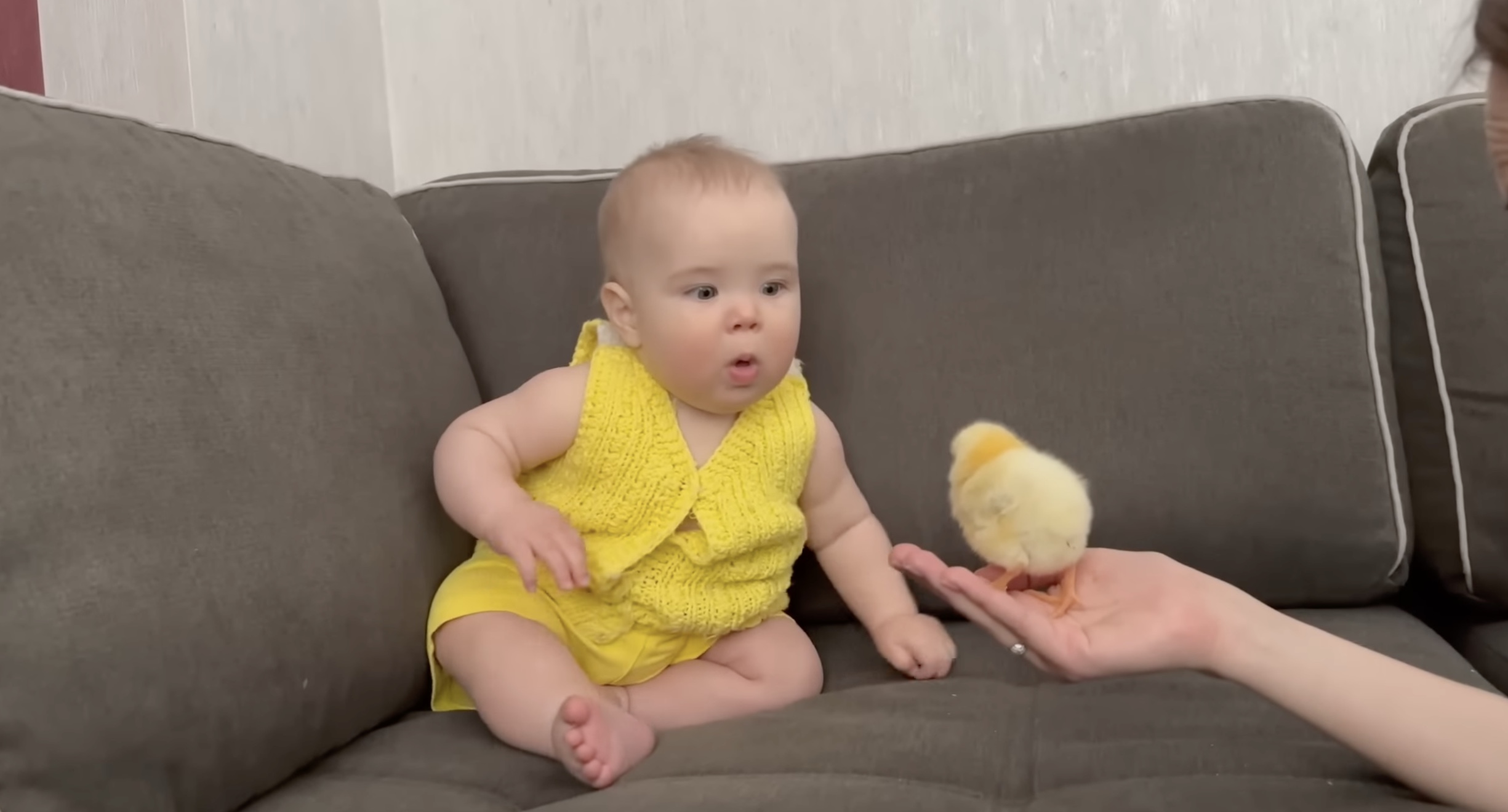 Happiness knows no bounds: Baby tries to catch a baby chick | My Cute ...