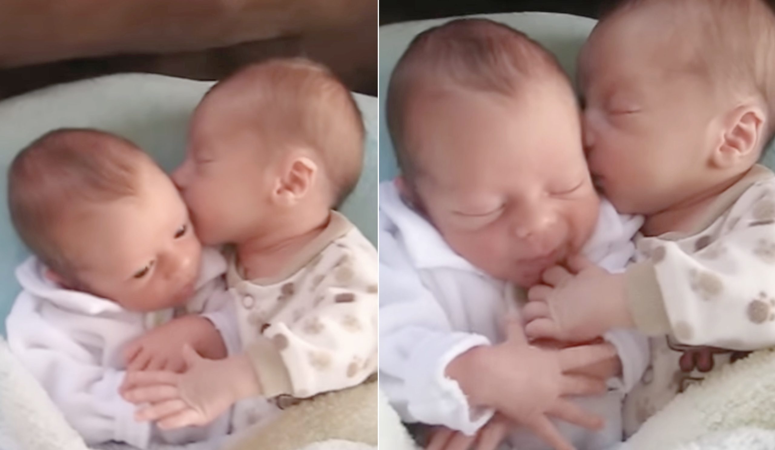 Awwww, newborn twins share their love for each other. Must-watch video ...
