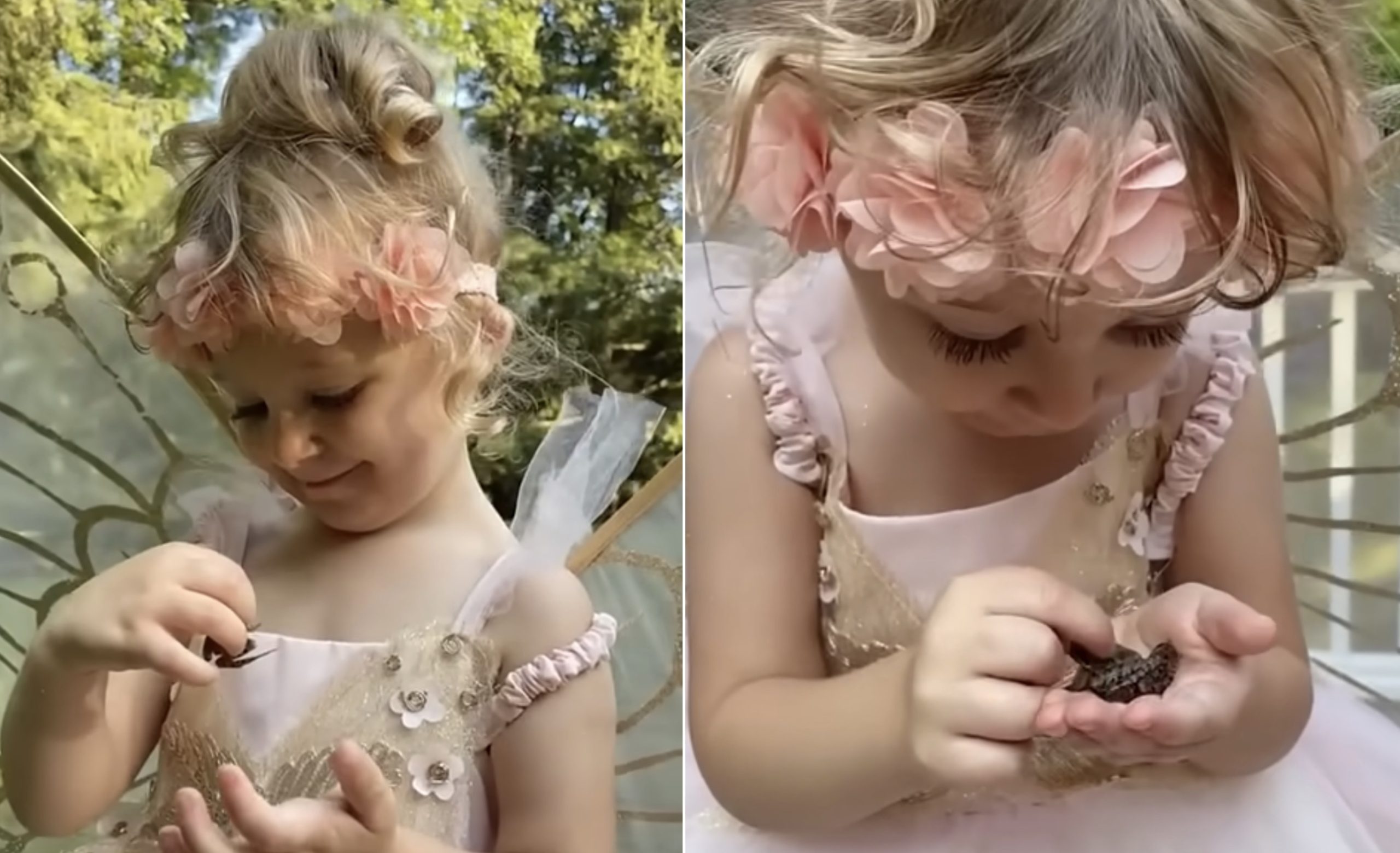 The real frog princess! Such a beautiful reaction to seeing the frog ...